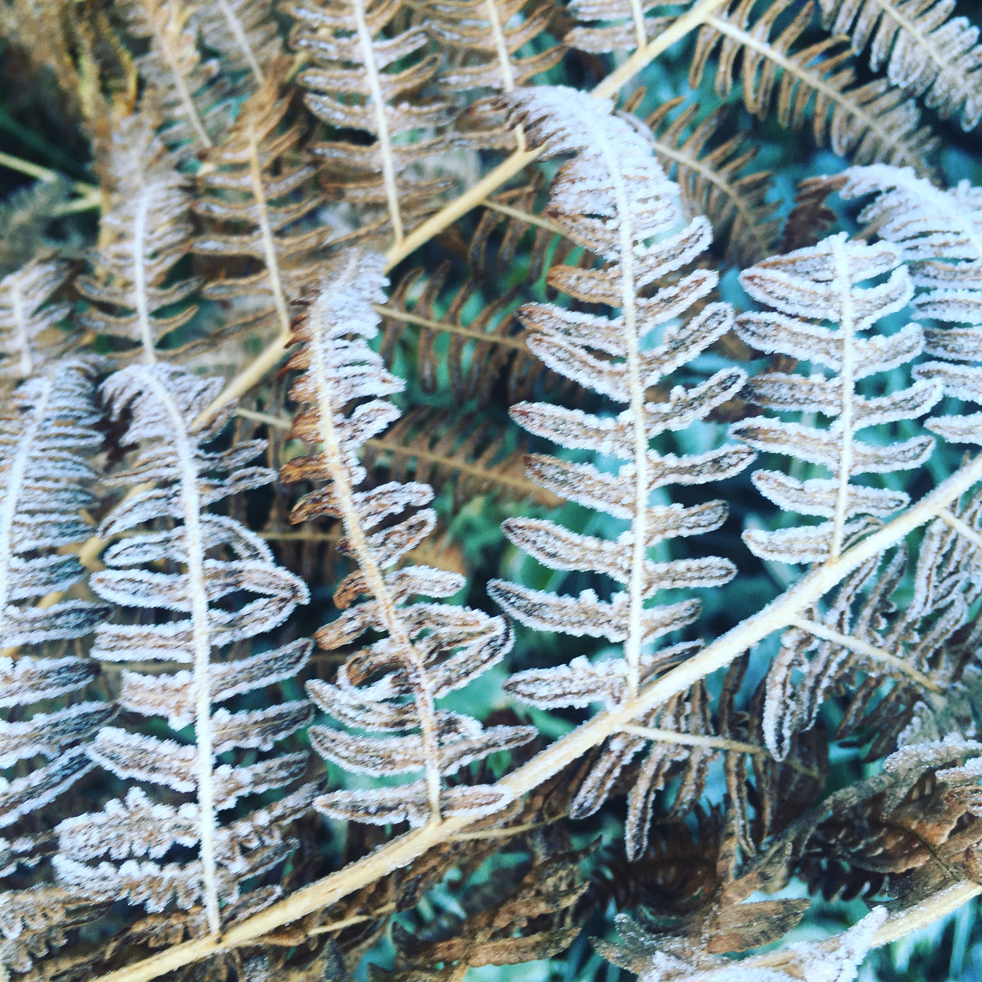 Baby, it's cold outside